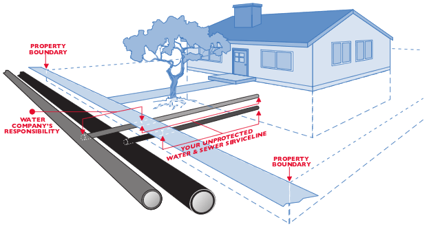 Home - Iron Phoenix Inspections